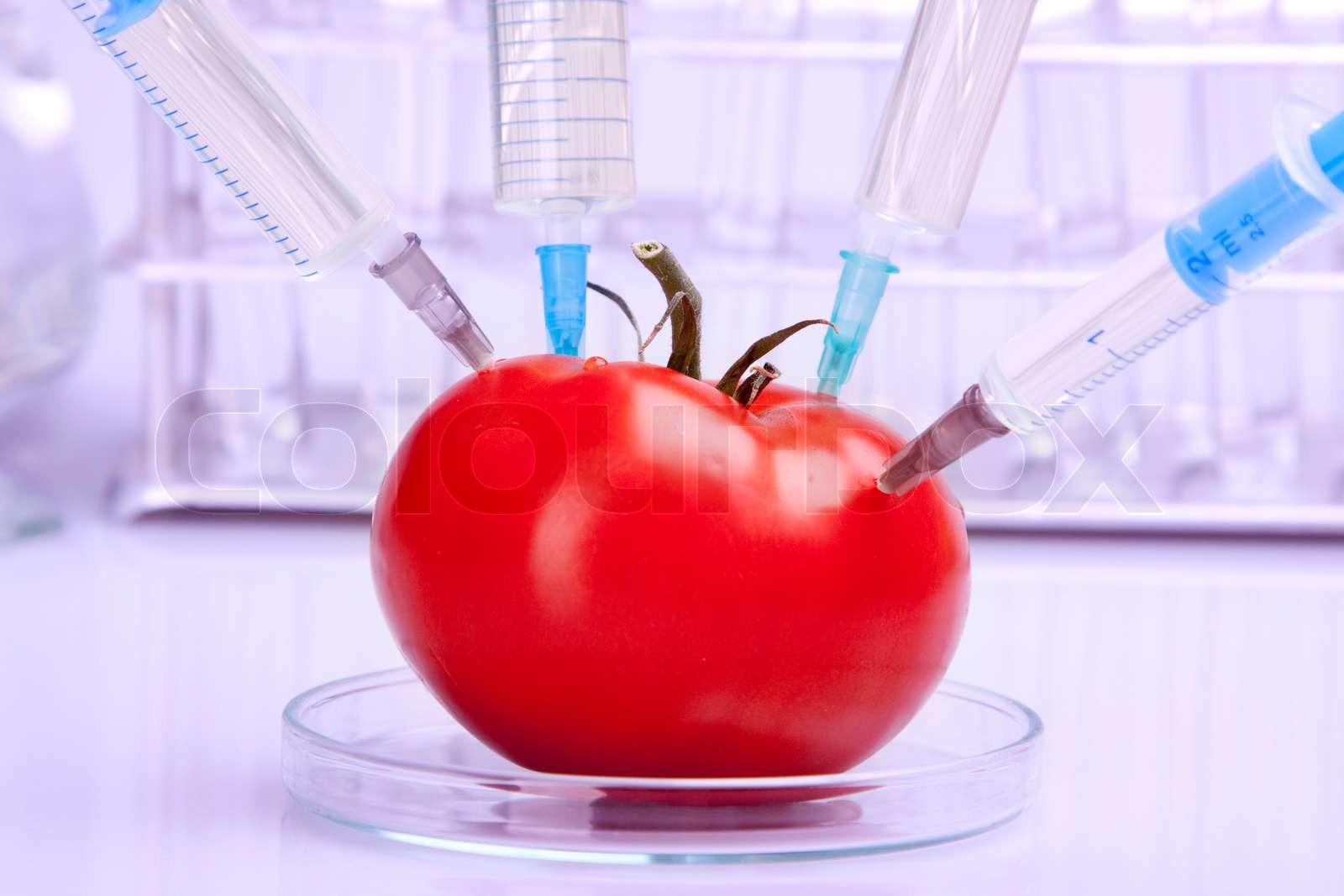 Genetically modified fruits and vegetables | Stock image | Colourbox