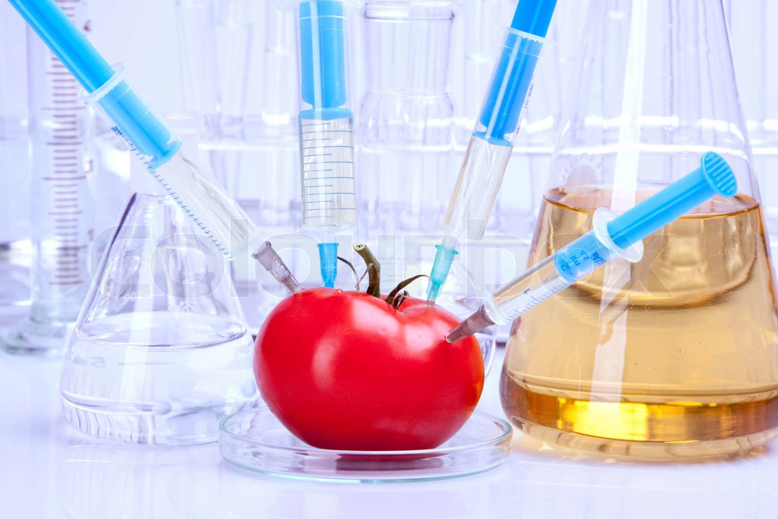 Genetically modified fruits and vegetables | Stock image | Colourbox