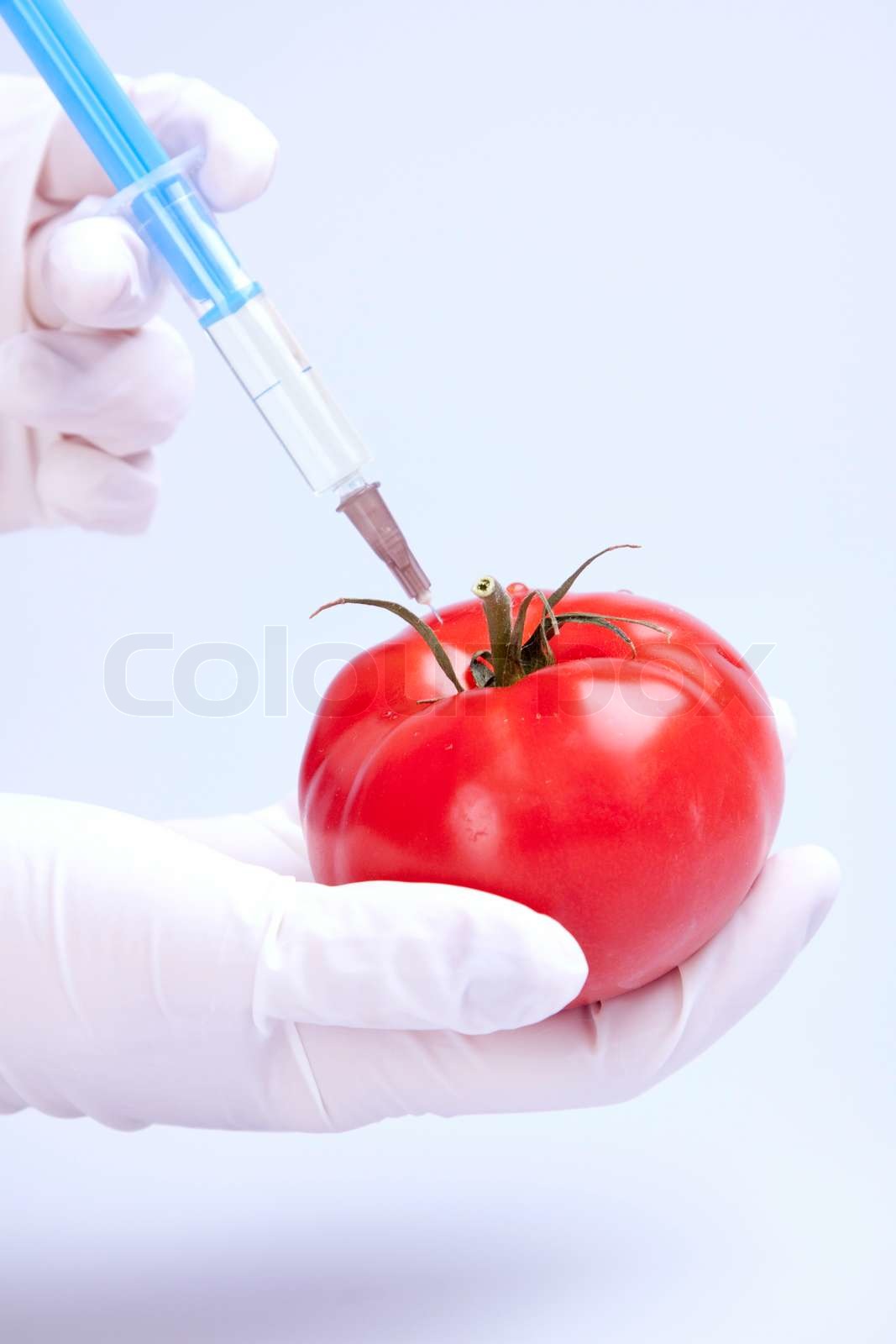 Genetically modified fruits and vegetables | Stock image | Colourbox