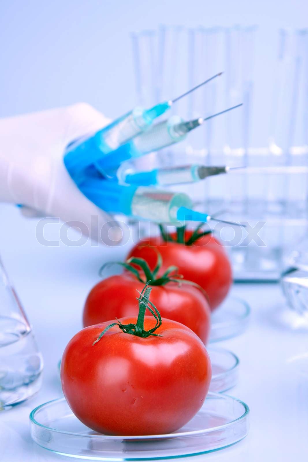 Genetically modified fruits and vegetables | Stock image | Colourbox