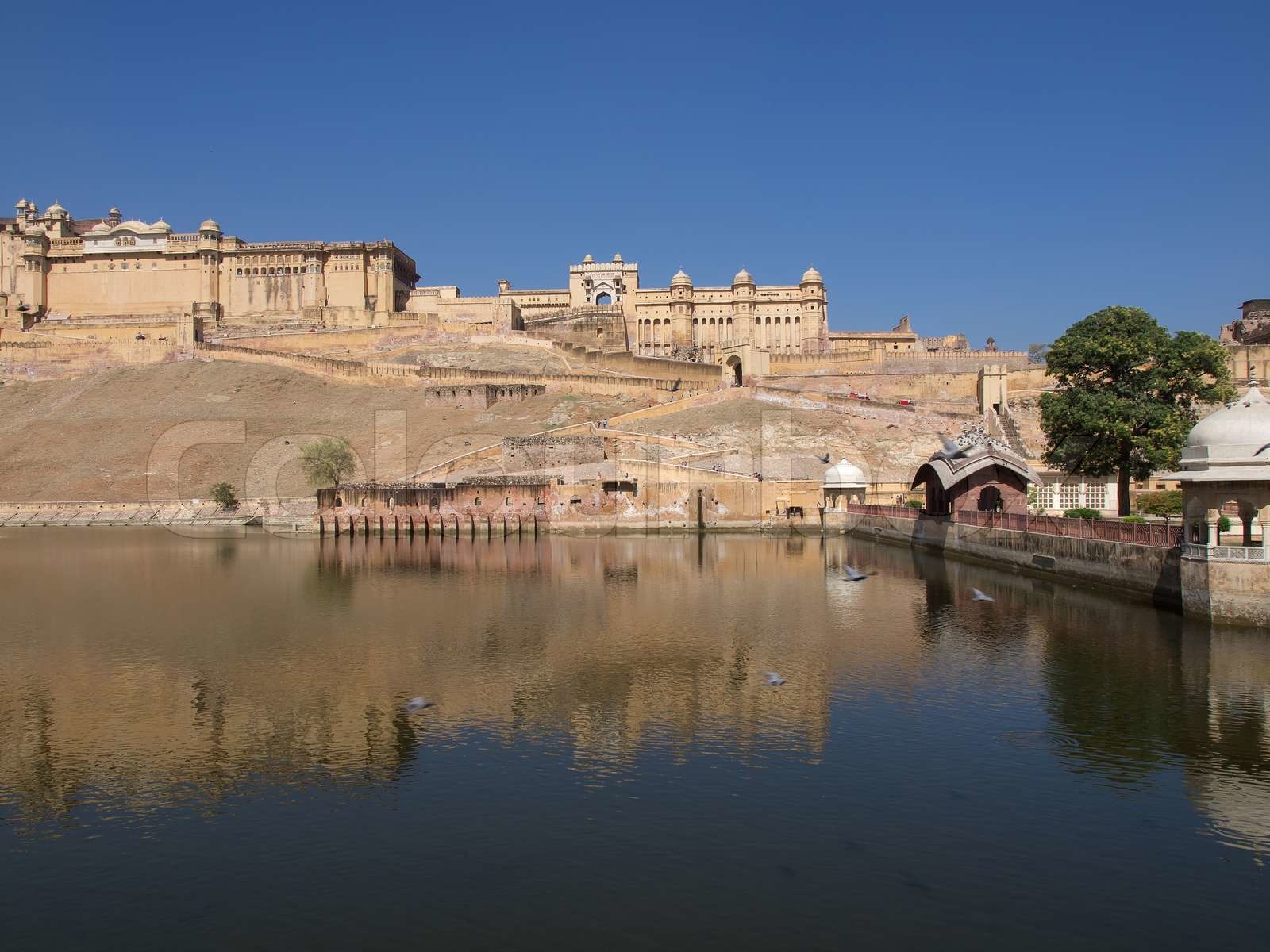 amber fort | Stock image | Colourbox