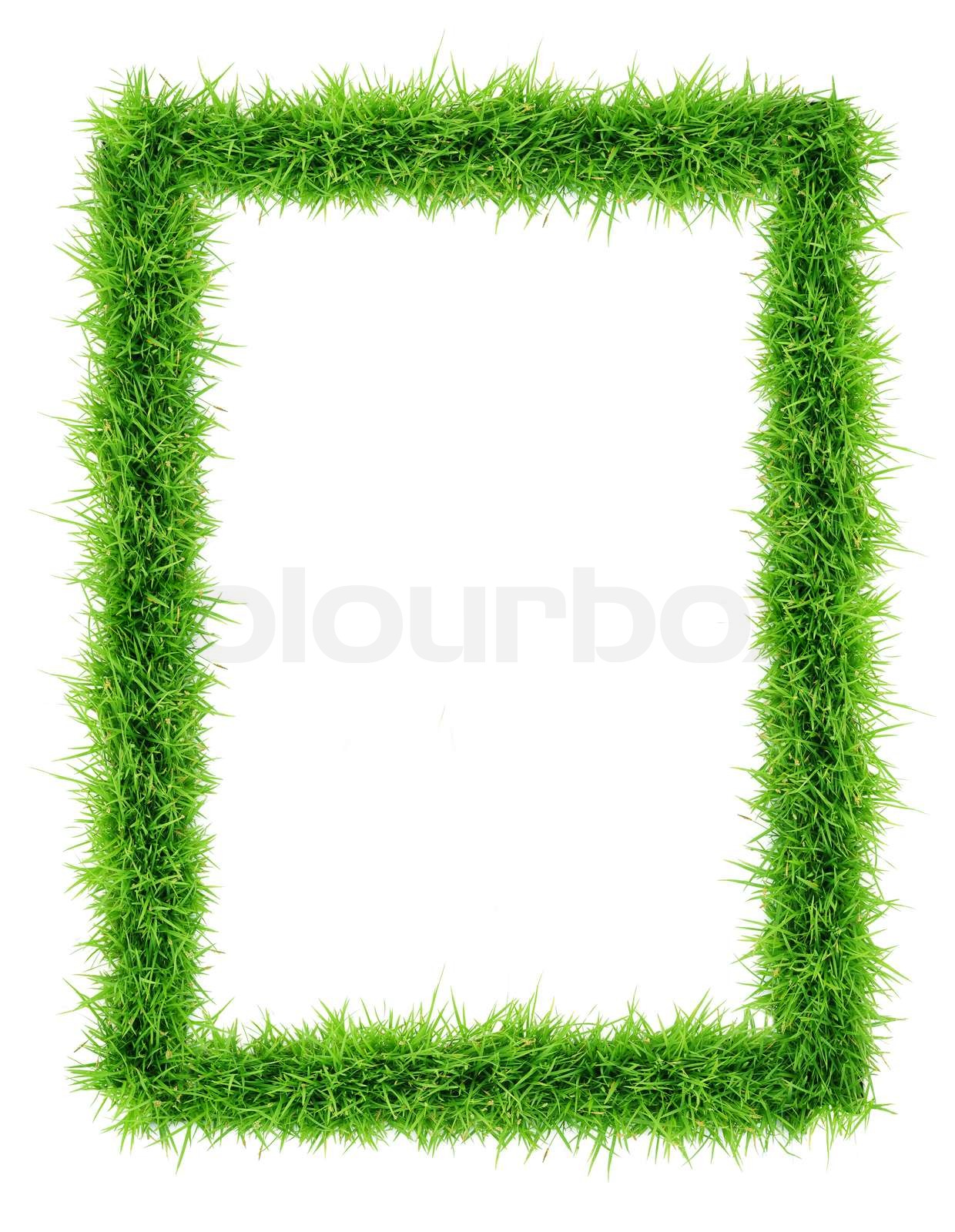 grass frame | Stock image | Colourbox