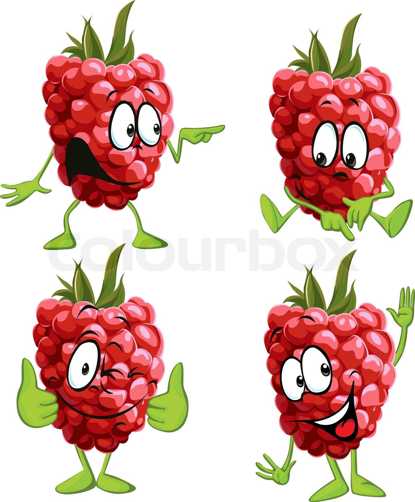 Cartoon Raspberry
