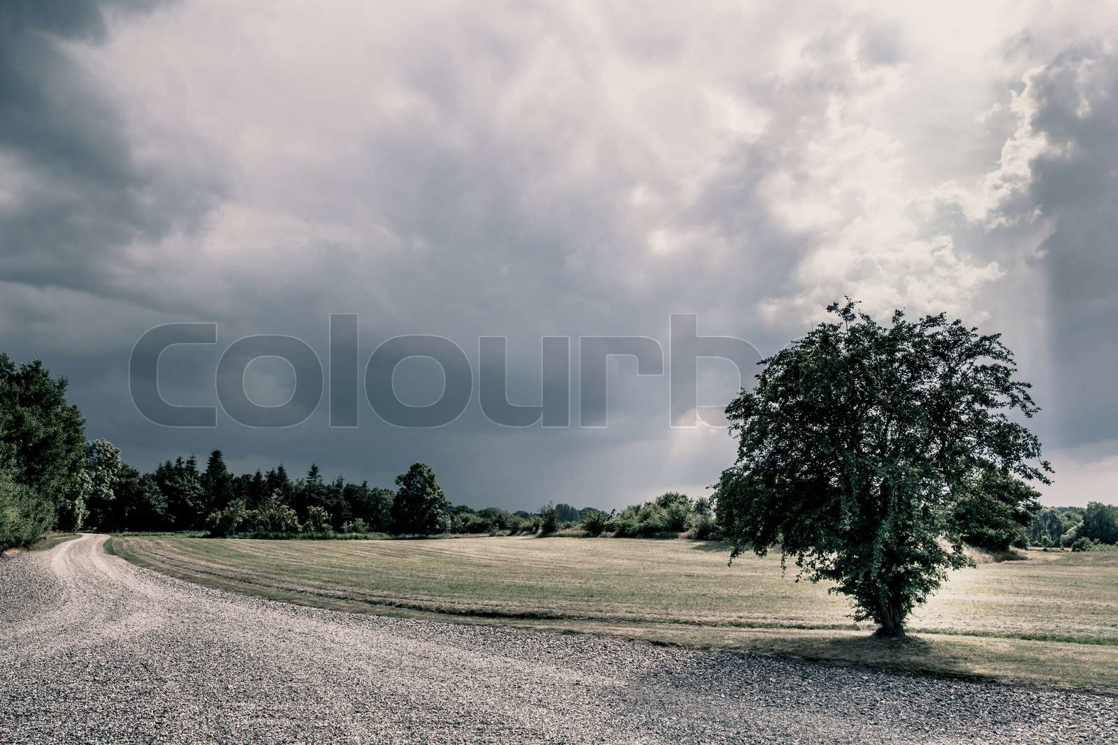 Grusvej i overskyet vejr | Stock foto | Colourbox