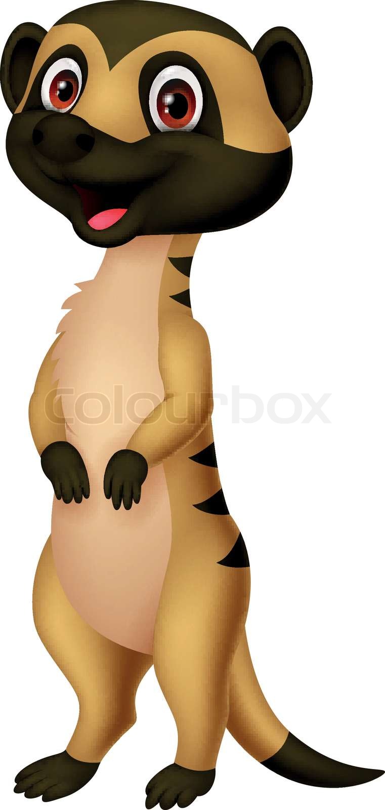 Cute meerkat cartoon | Stock vector | Colourbox