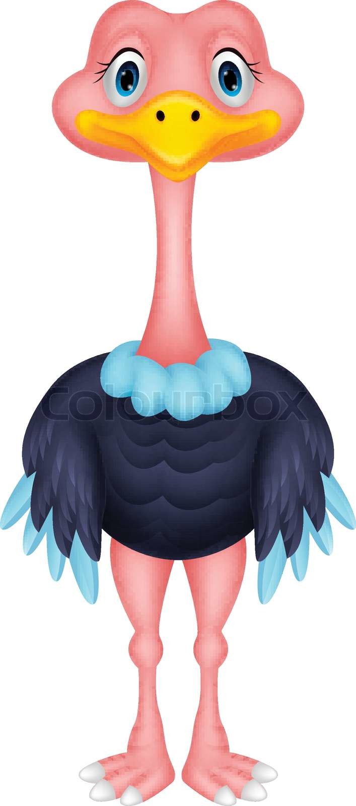 Ostrich Cartoon Images