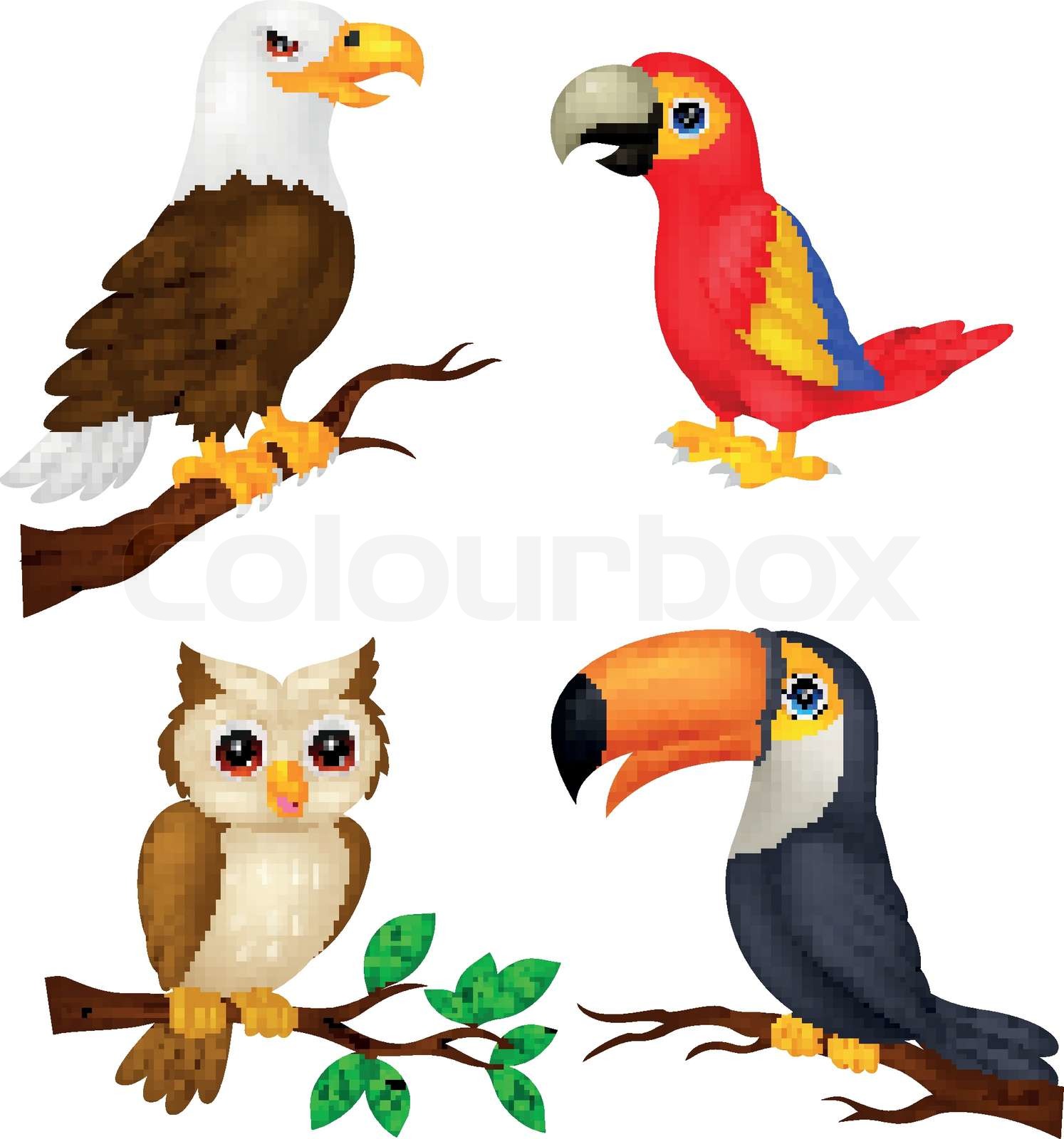 Bird cartoon collection | Stock vector | Colourbox
