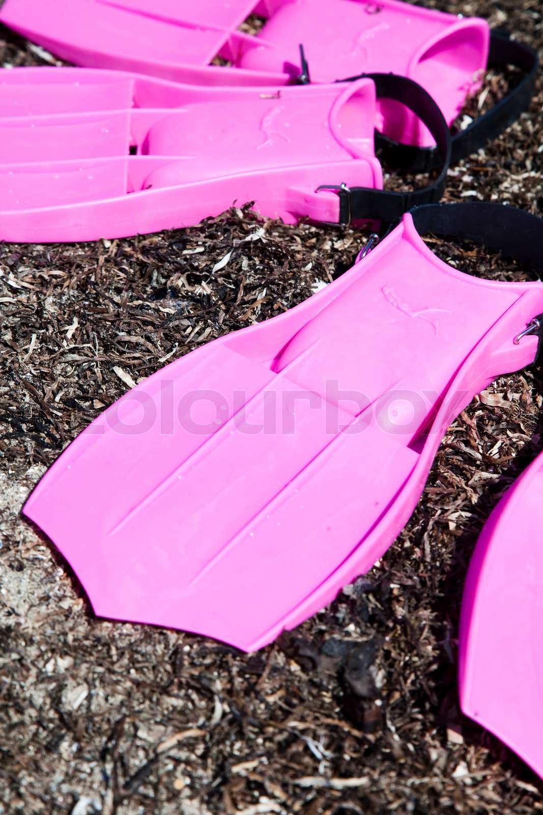 Pink flippers | Stock image | Colourbox