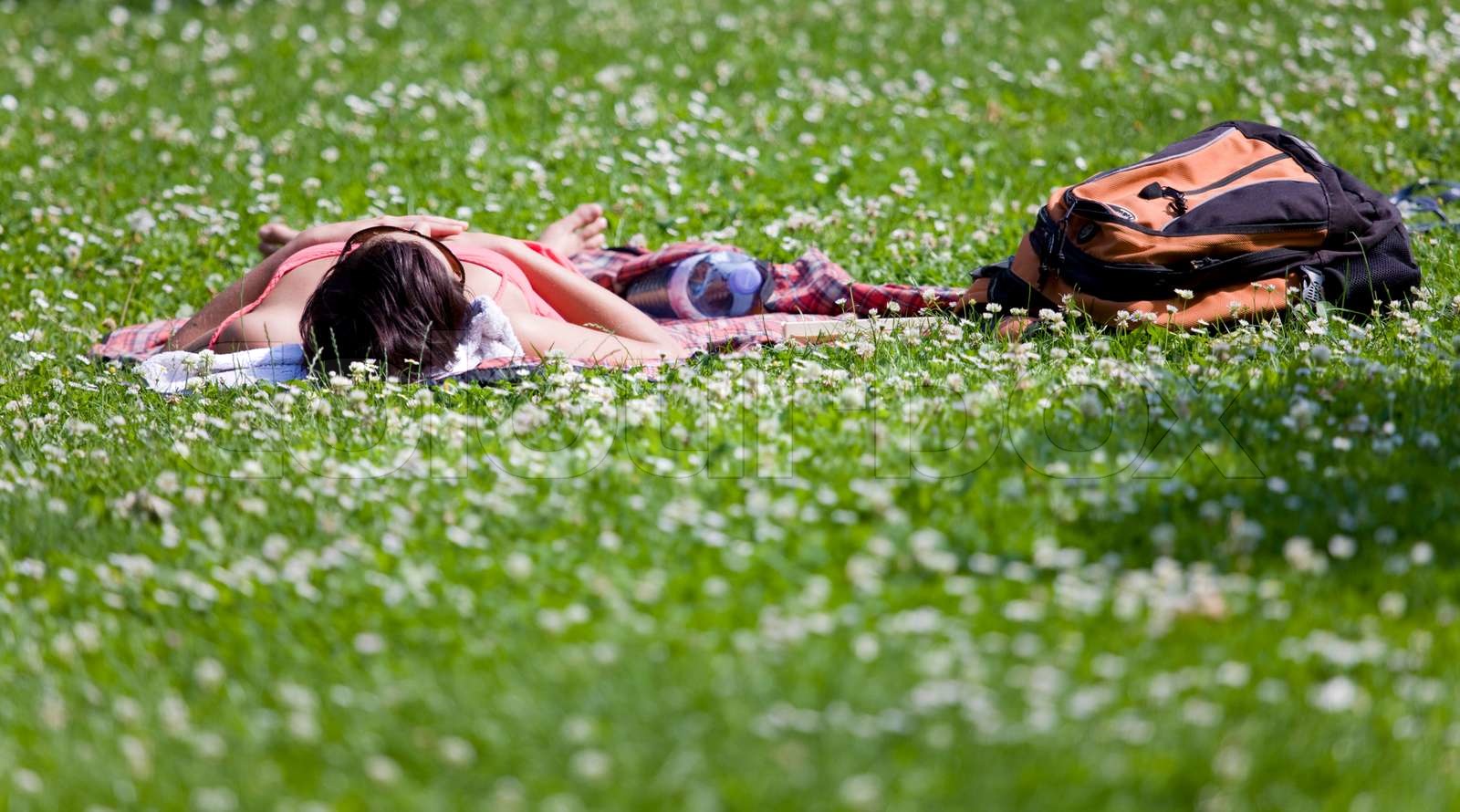 A woman sunbathing in a park | Stock image | Colourbox