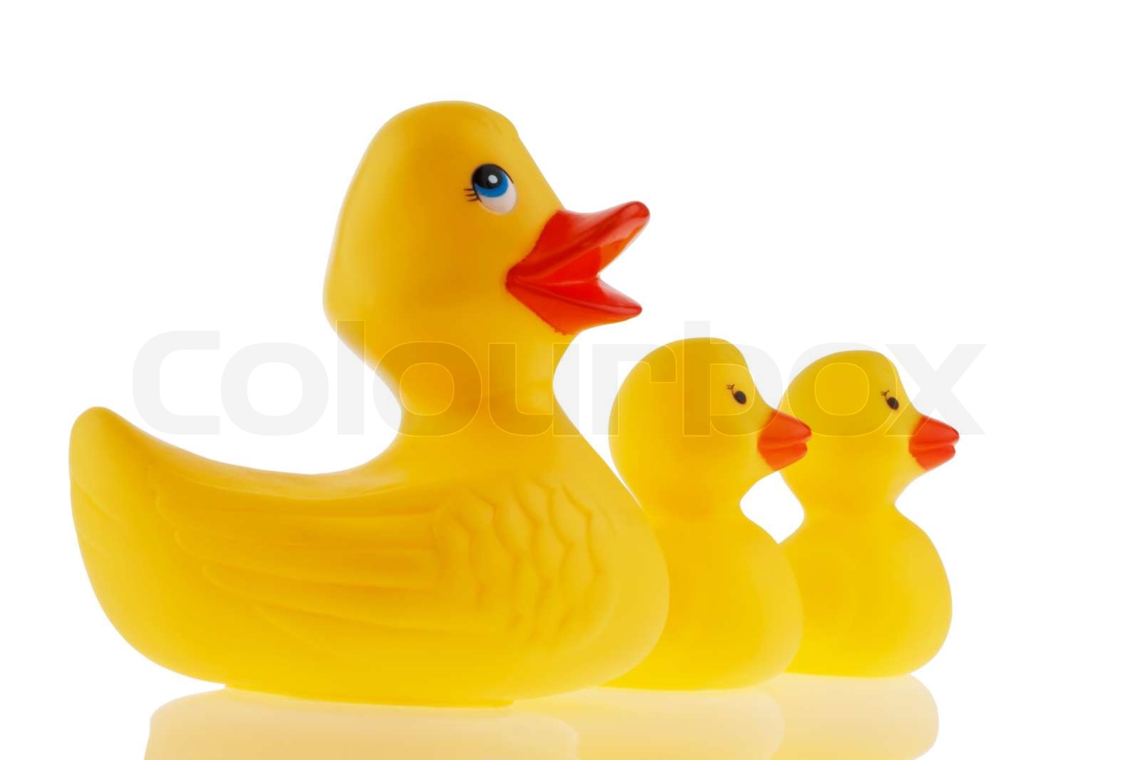 plastic ducks | Stock image | Colourbox