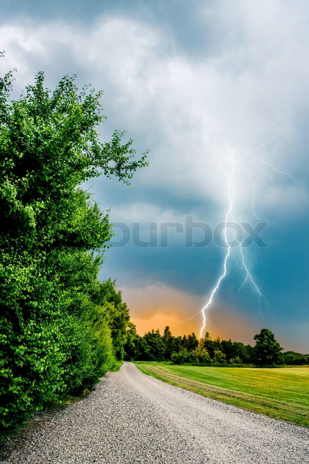 Thunder and lightning hits trees | Stock image | Colourbox