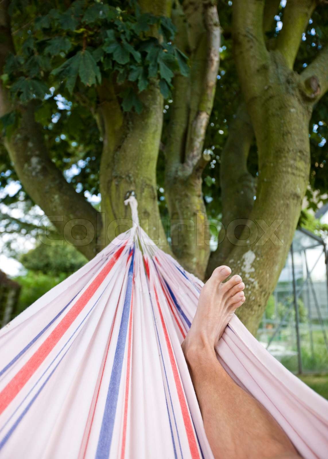 barefoot, denmark, gardens | Stock image | Colourbox