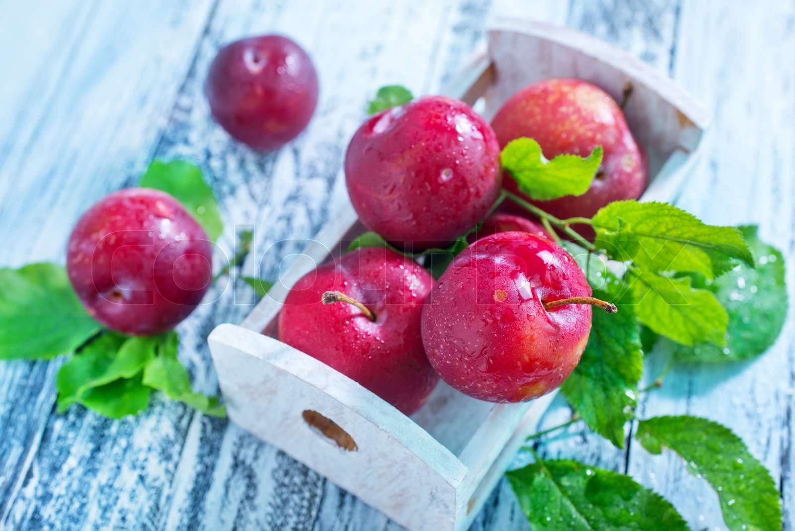 plums | Stock image | Colourbox