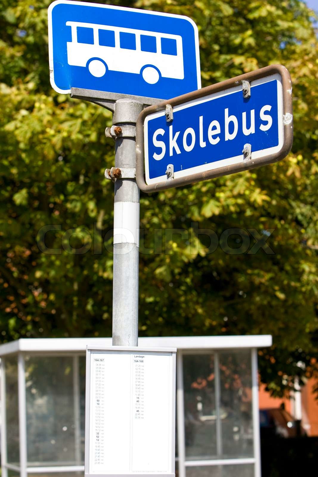 bus, denmark, busses | Stock image | Colourbox
