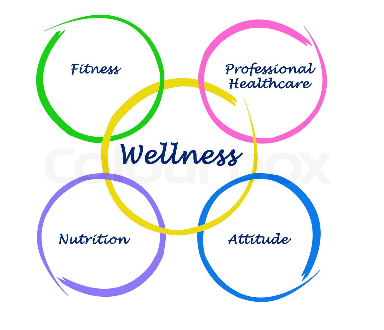 Diagram of wellness | Stock image | Colourbox