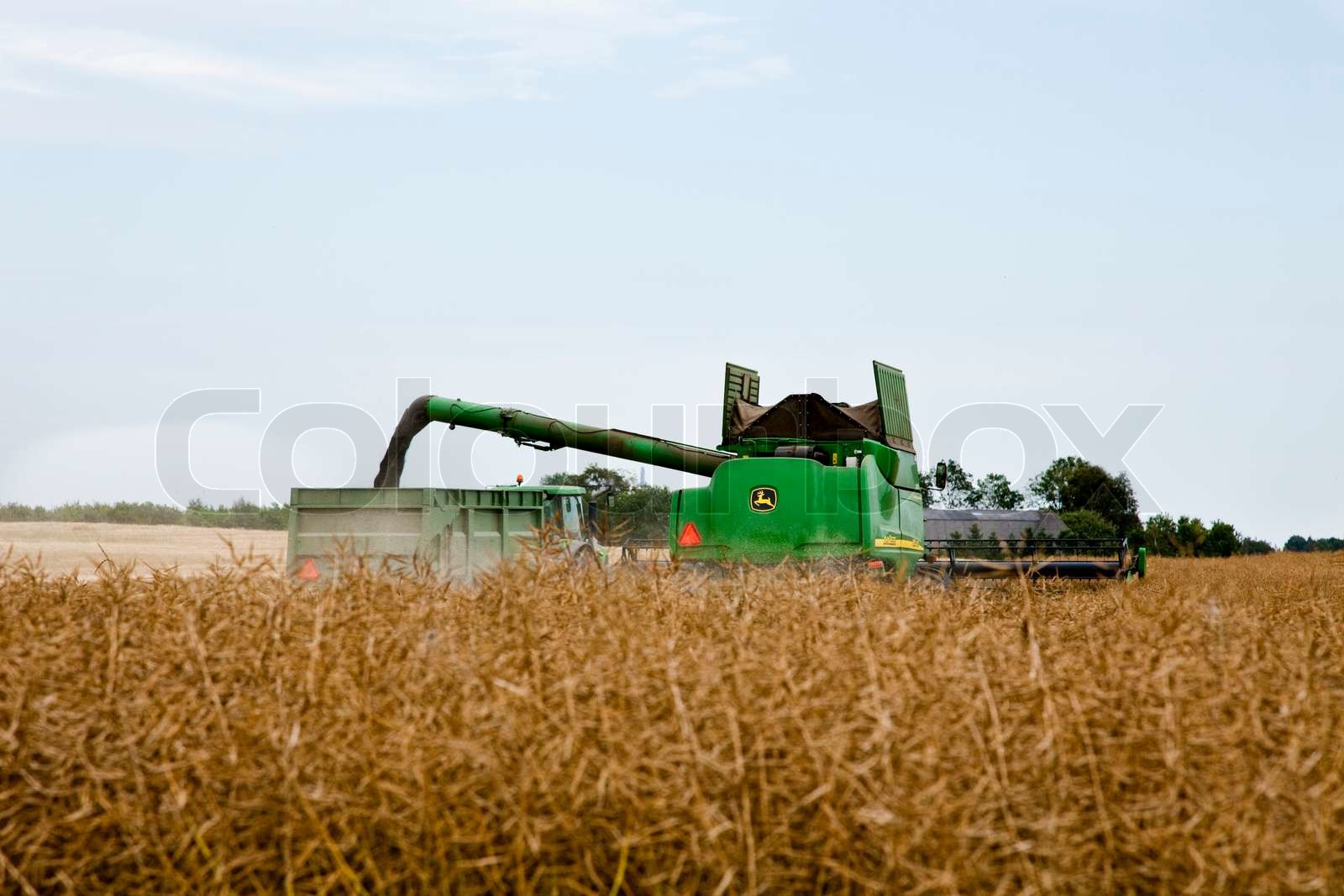 Tractor harvesting in the field | Stock image | Colourbox