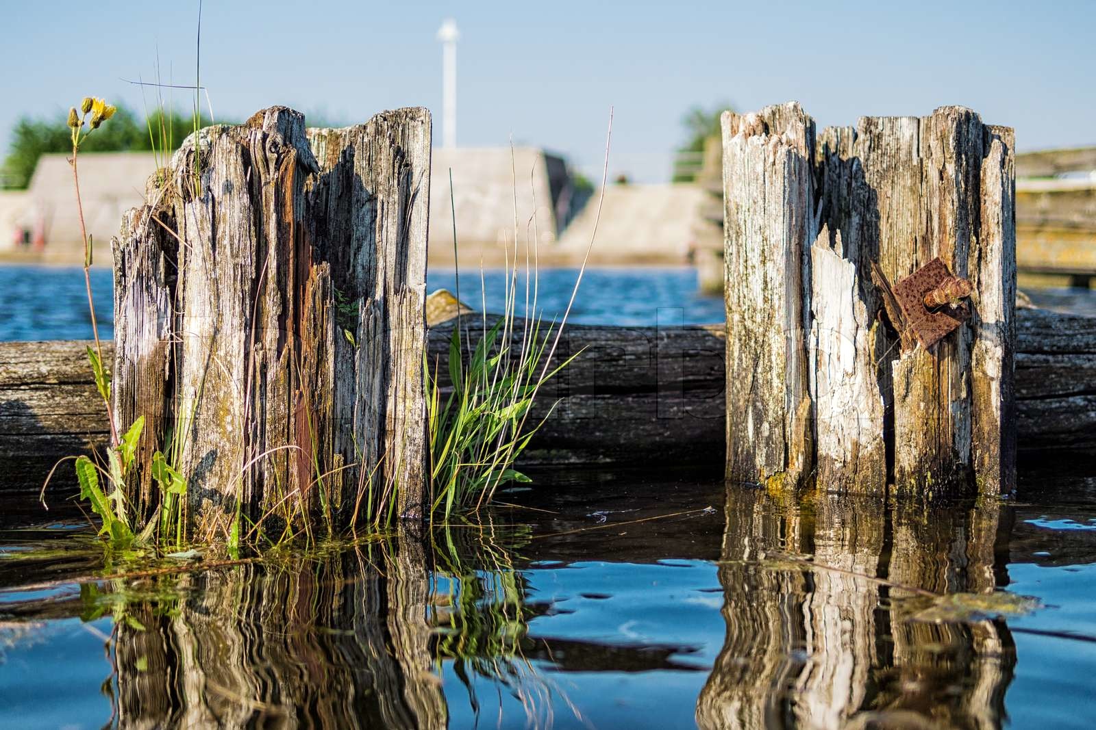 Groynes on the river Warnow | Stock image | Colourbox