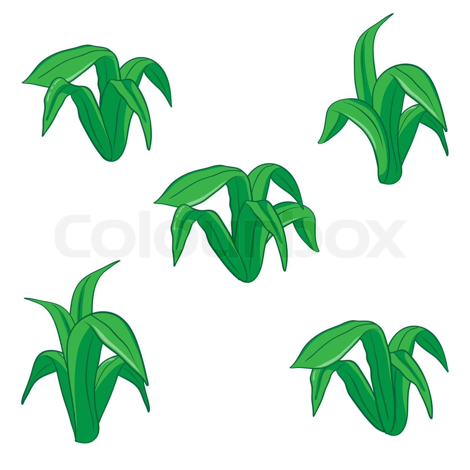 Illustration of green floral, vector cartoon | Stock vector | Colourbox