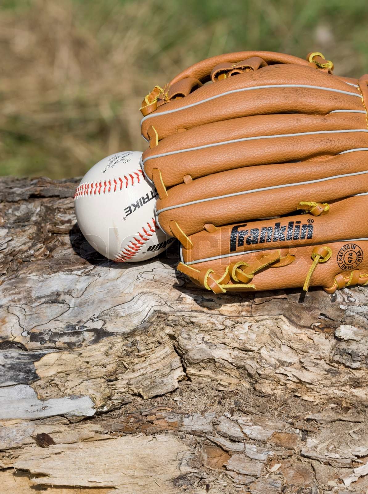 Baseball gloves and ball | Stock image | Colourbox