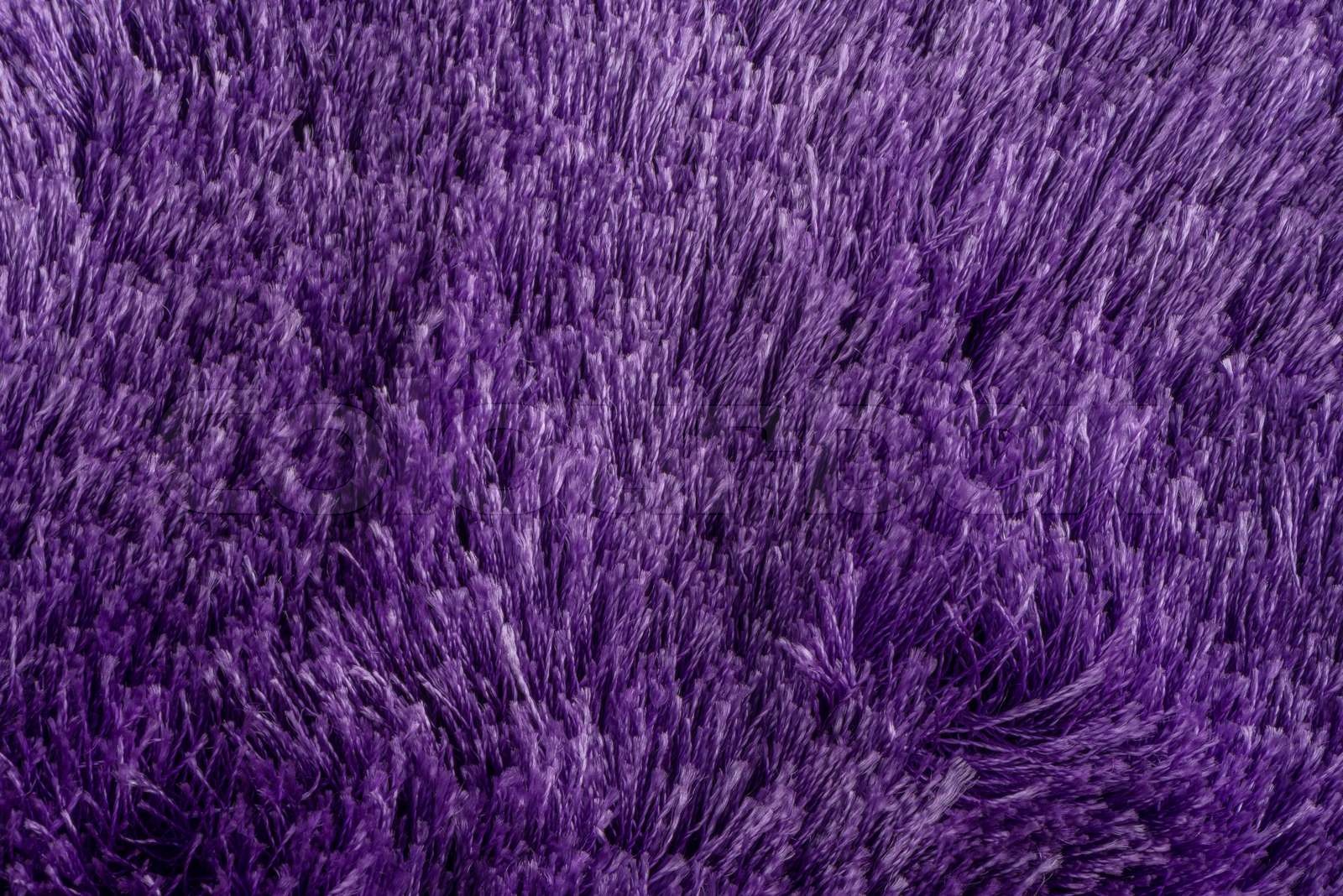 Purple carpet | Stock image | Colourbox