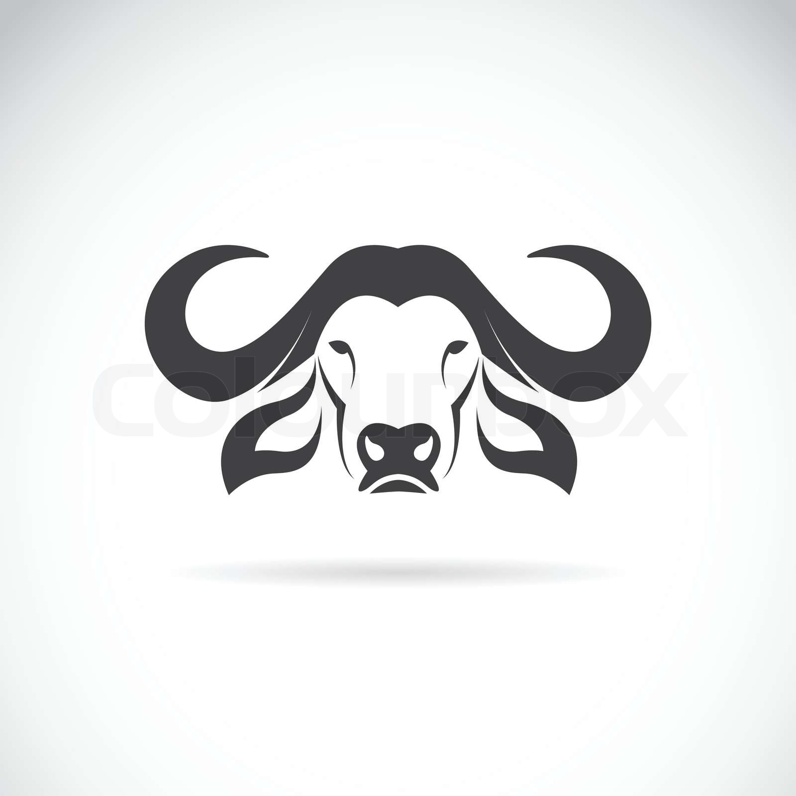 Vector image of an buffalo head | Stock vector | Colourbox