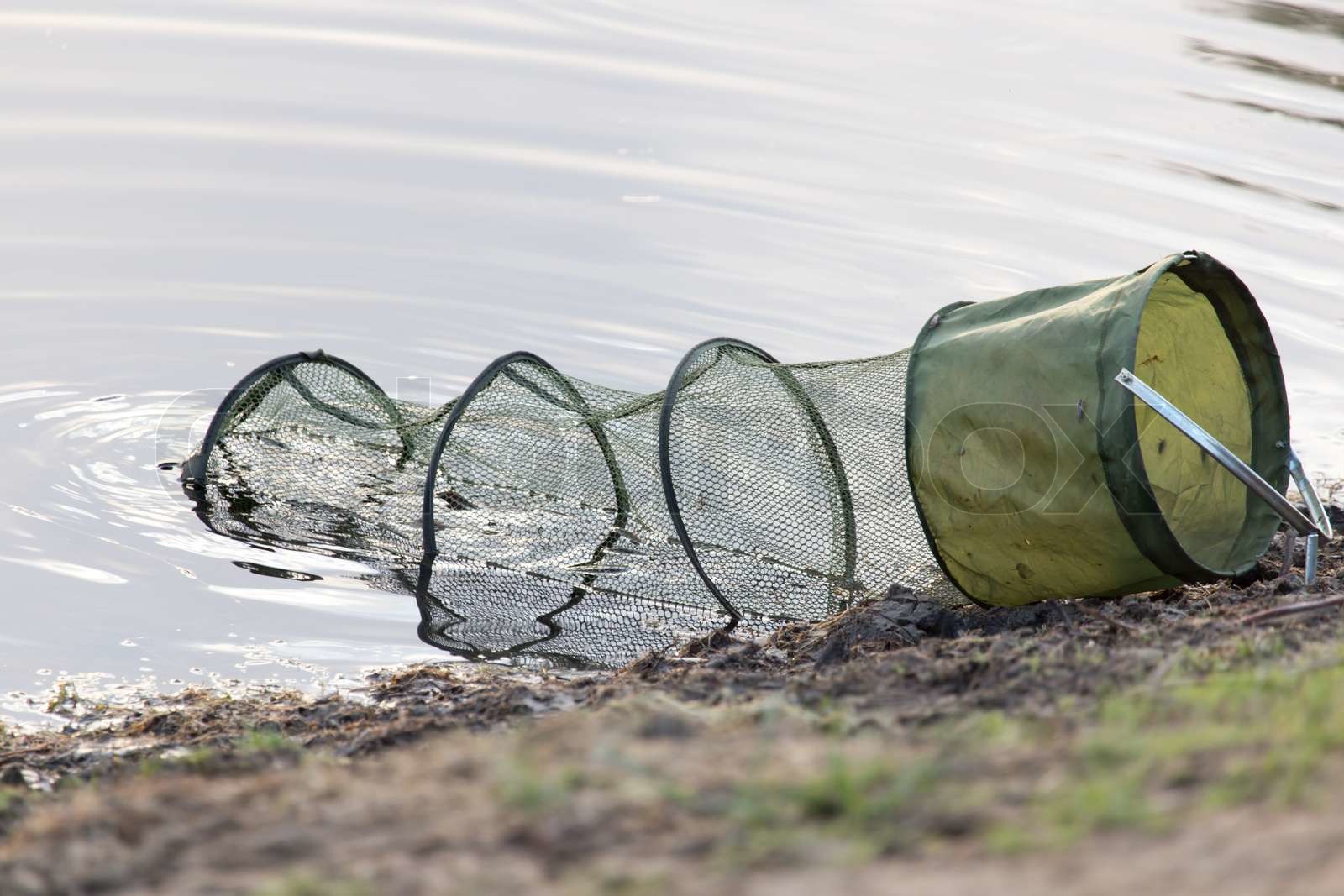 fish in cages | Stock image | Colourbox