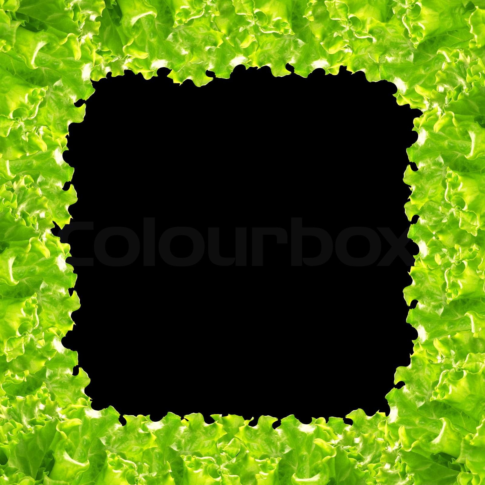 Salad frame | Stock image | Colourbox