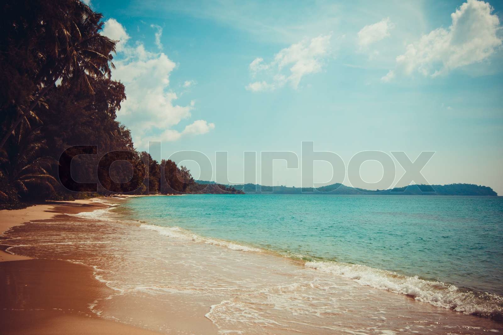 Tropical Beach Stock Image Colourbox