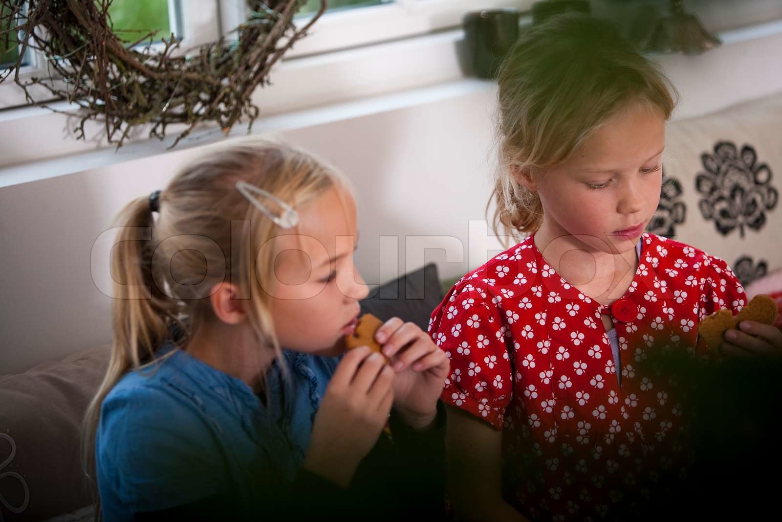 To små piger der spiser brunkager nær juletræet | Stock foto | Colourbox