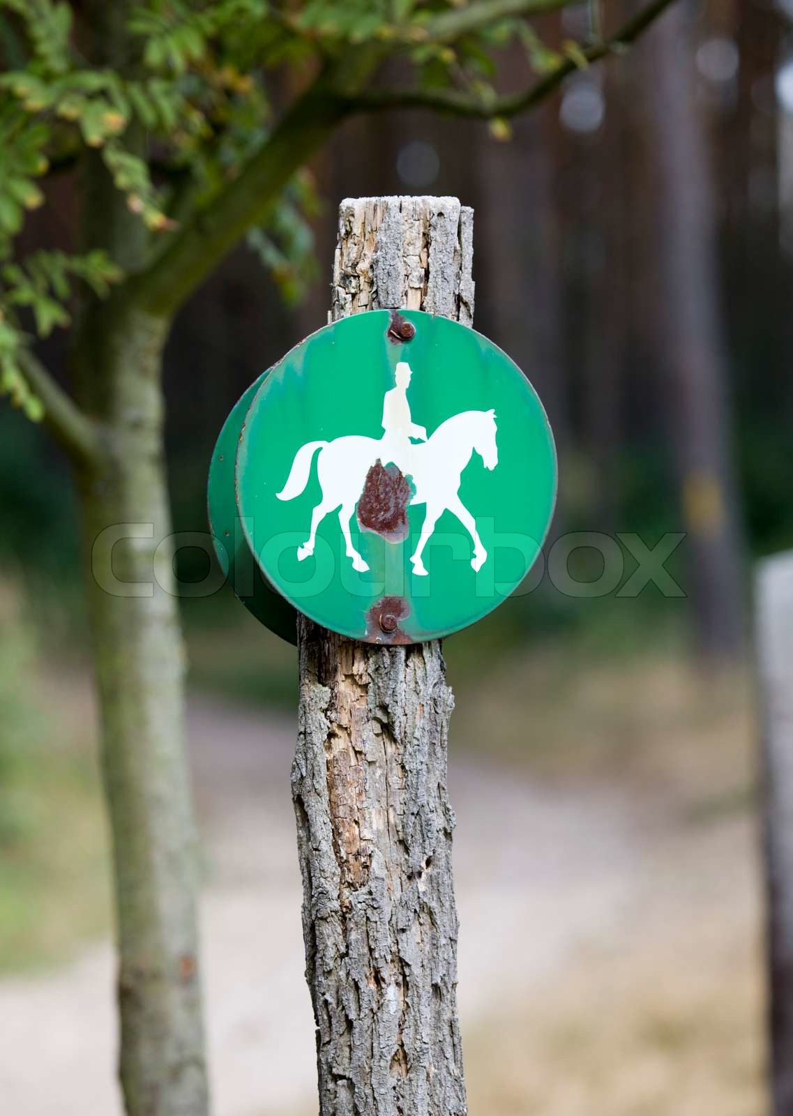 Sign for horse riding | Stock image | Colourbox