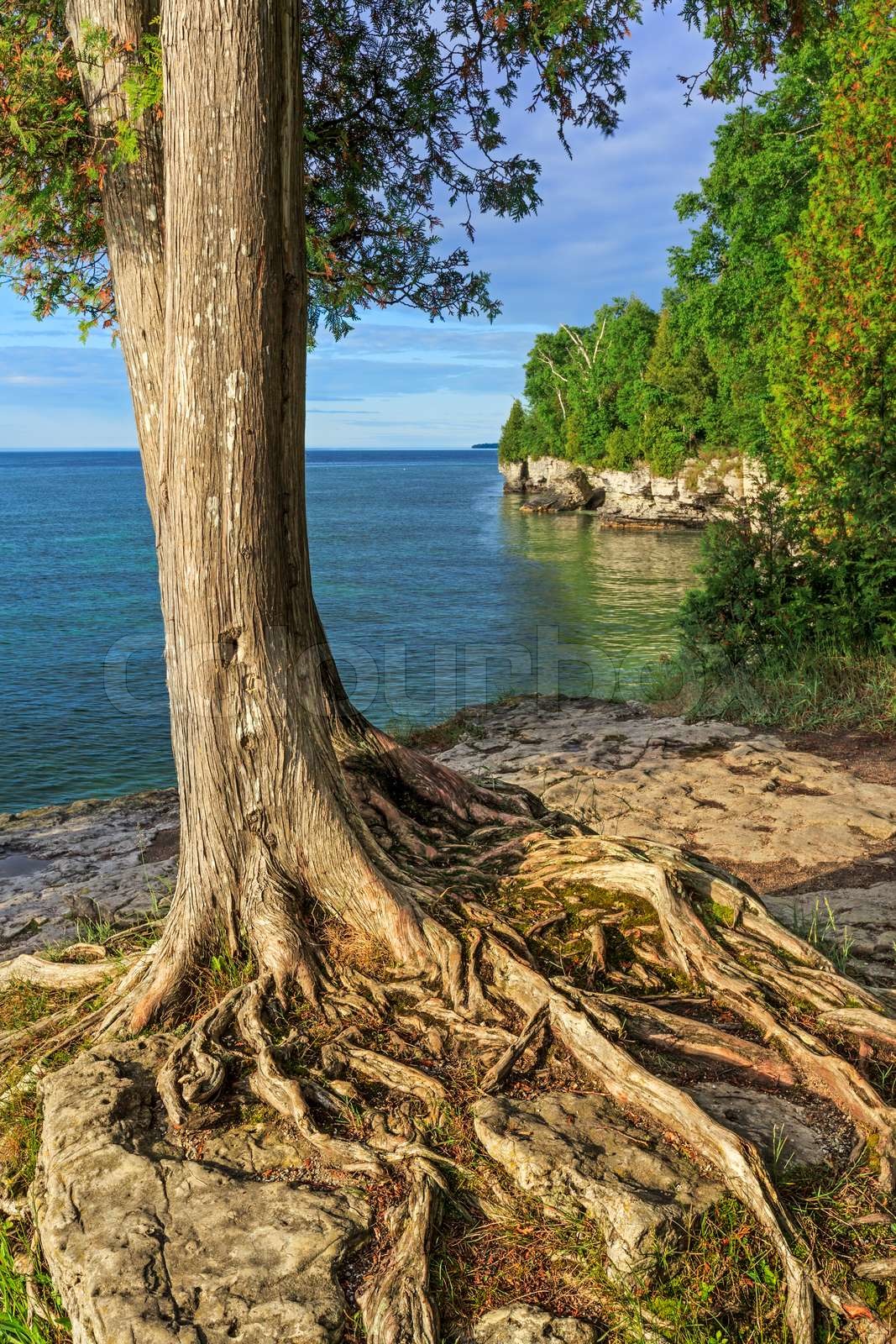 Tenacious Grip | Stock image | Colourbox