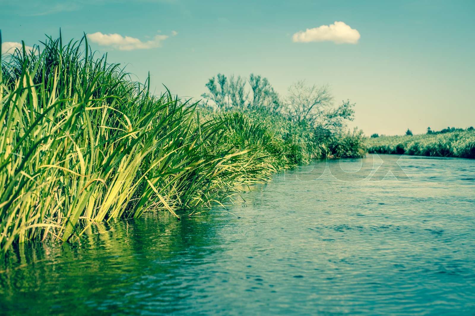 Vand med spejlbillede af naturen, Vandløb med flot natur, Flot natur ...