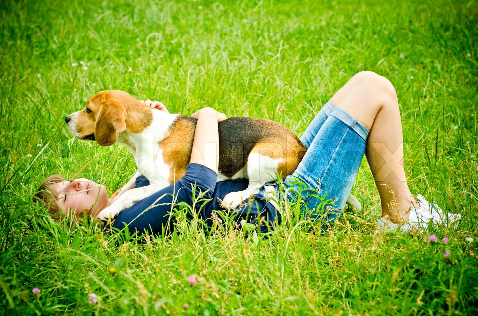 woman with beagle | Stock image | Colourbox