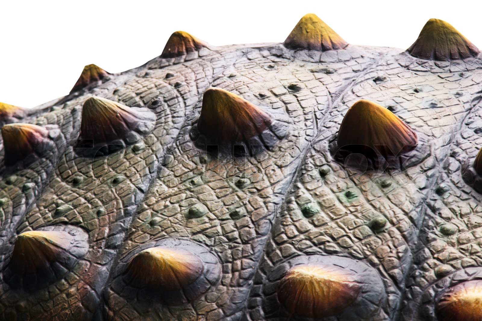 Dinosaur Texture Skin | Stock image | Colourbox