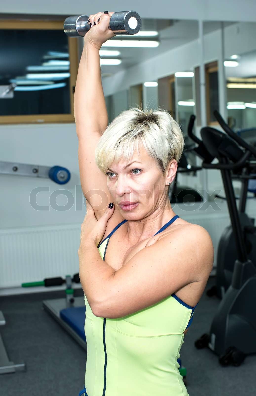 adult female bodybuilding competitions in the gym | Stock image | Colourbox