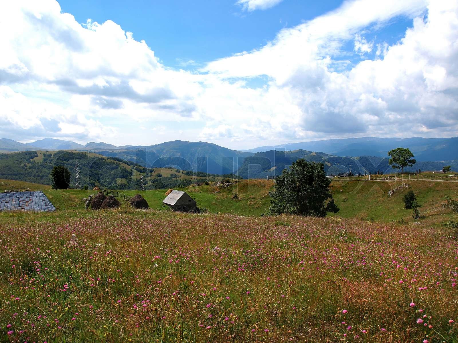 medows | Stock image | Colourbox