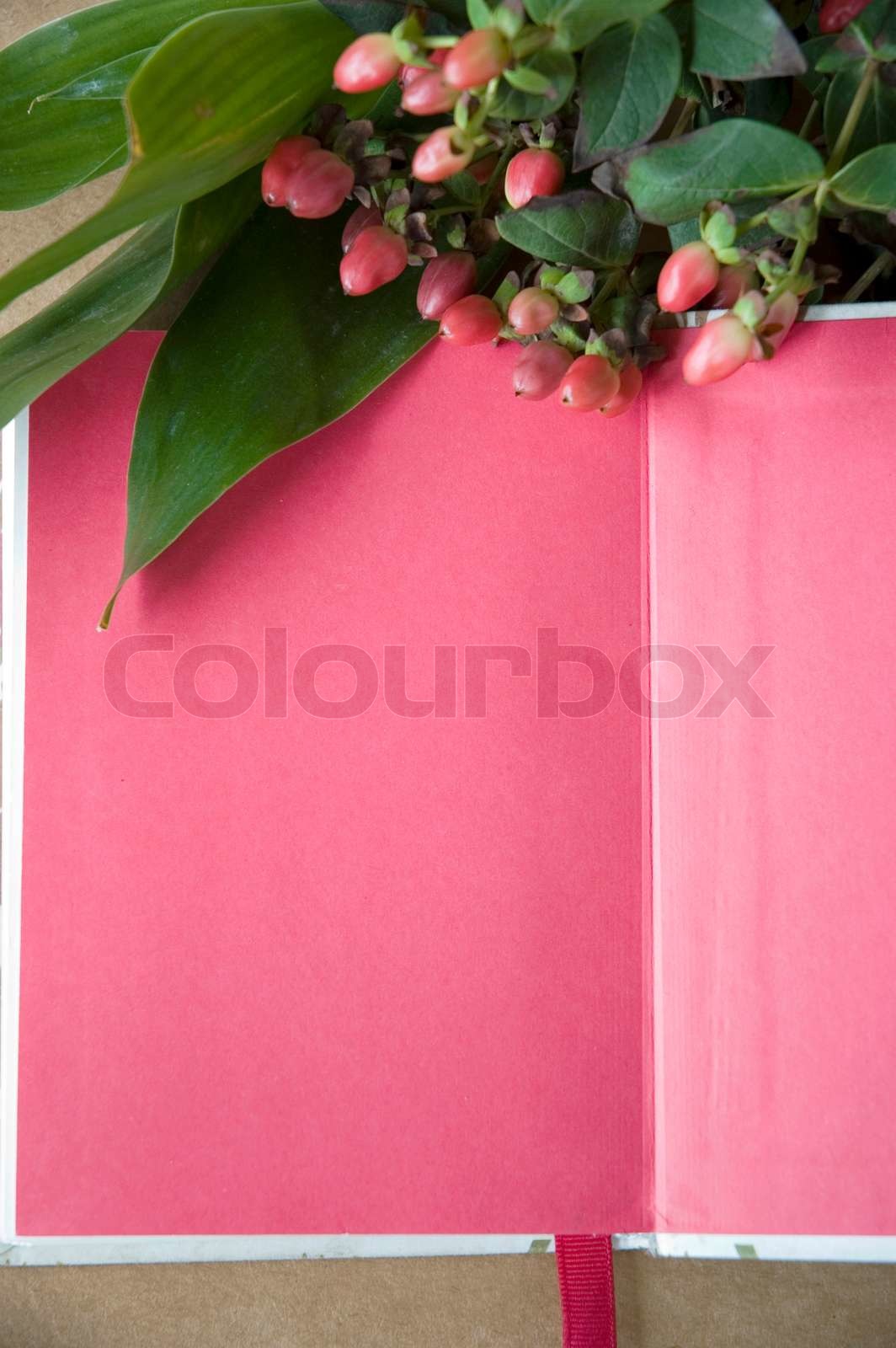blank pink page | Stock image | Colourbox