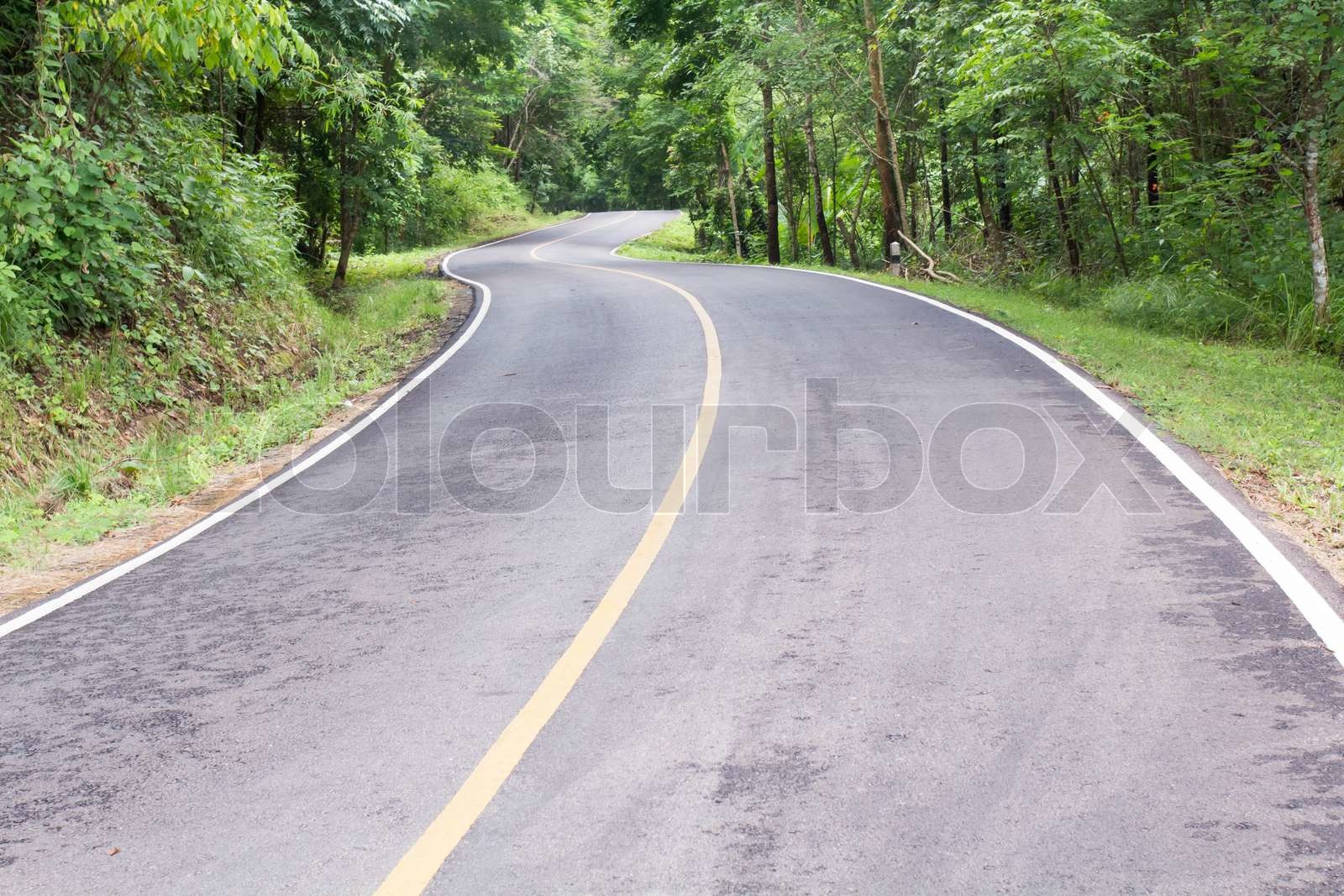 Curve way of asphalt road through the tropical forest | Stock image ...