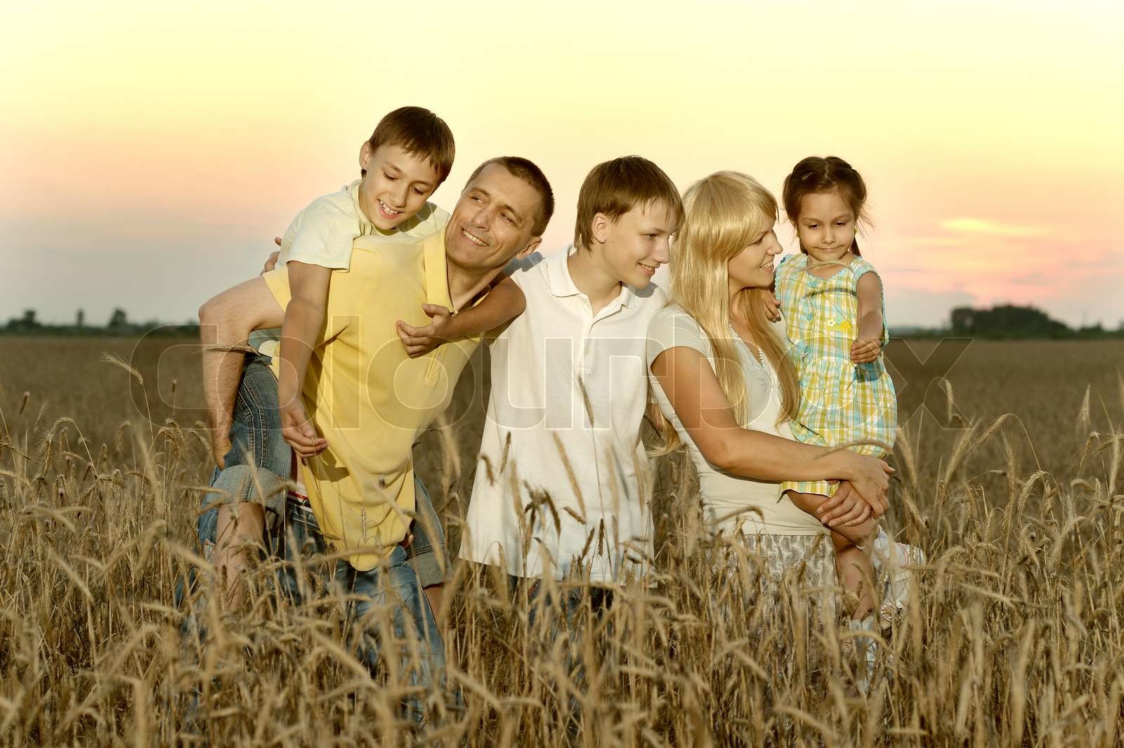 Familie gehen in Feld | Stock Bild | Colourbox