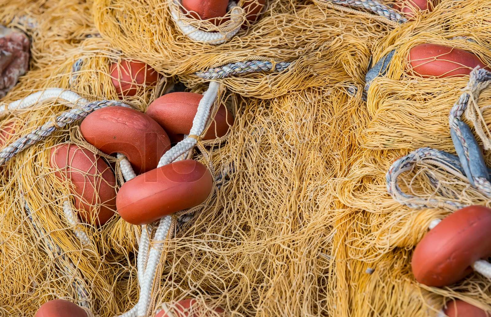 fishing net closeup photo | Stock image | Colourbox