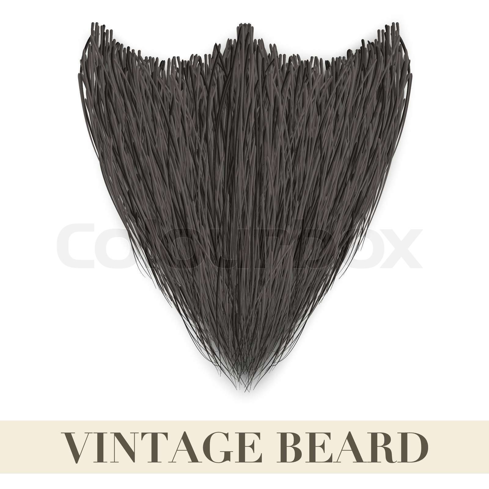 Realistic Black beard. Vector Illustration | Stock vector | Colourbox
