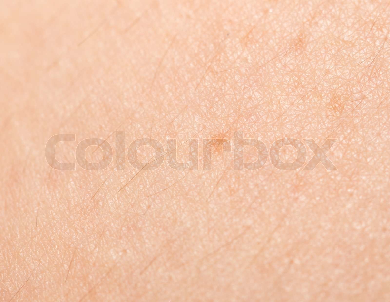 Hintergrund der menschlichen Haut | Stock Bild | Colourbox