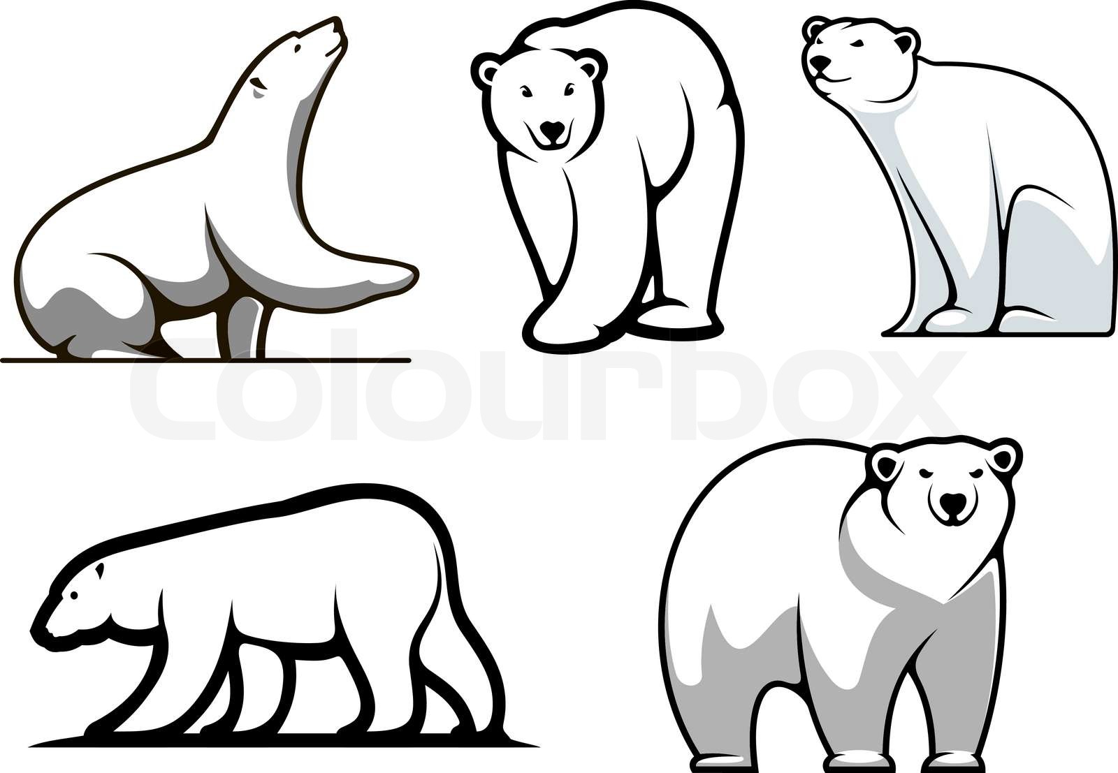 White polar bears set | Stock vector | Colourbox