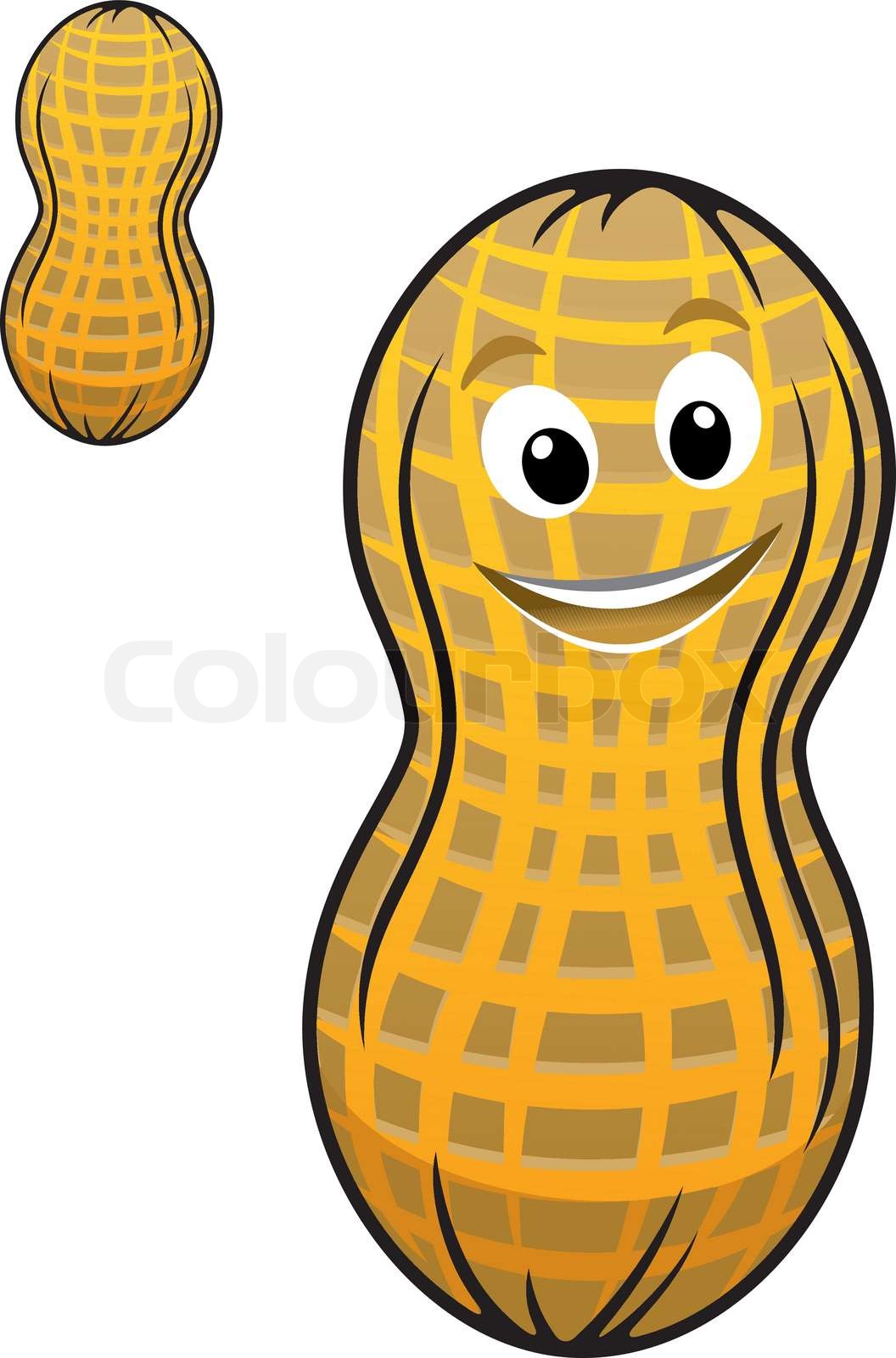 Cartoon peanut in shell | Stock vector | Colourbox