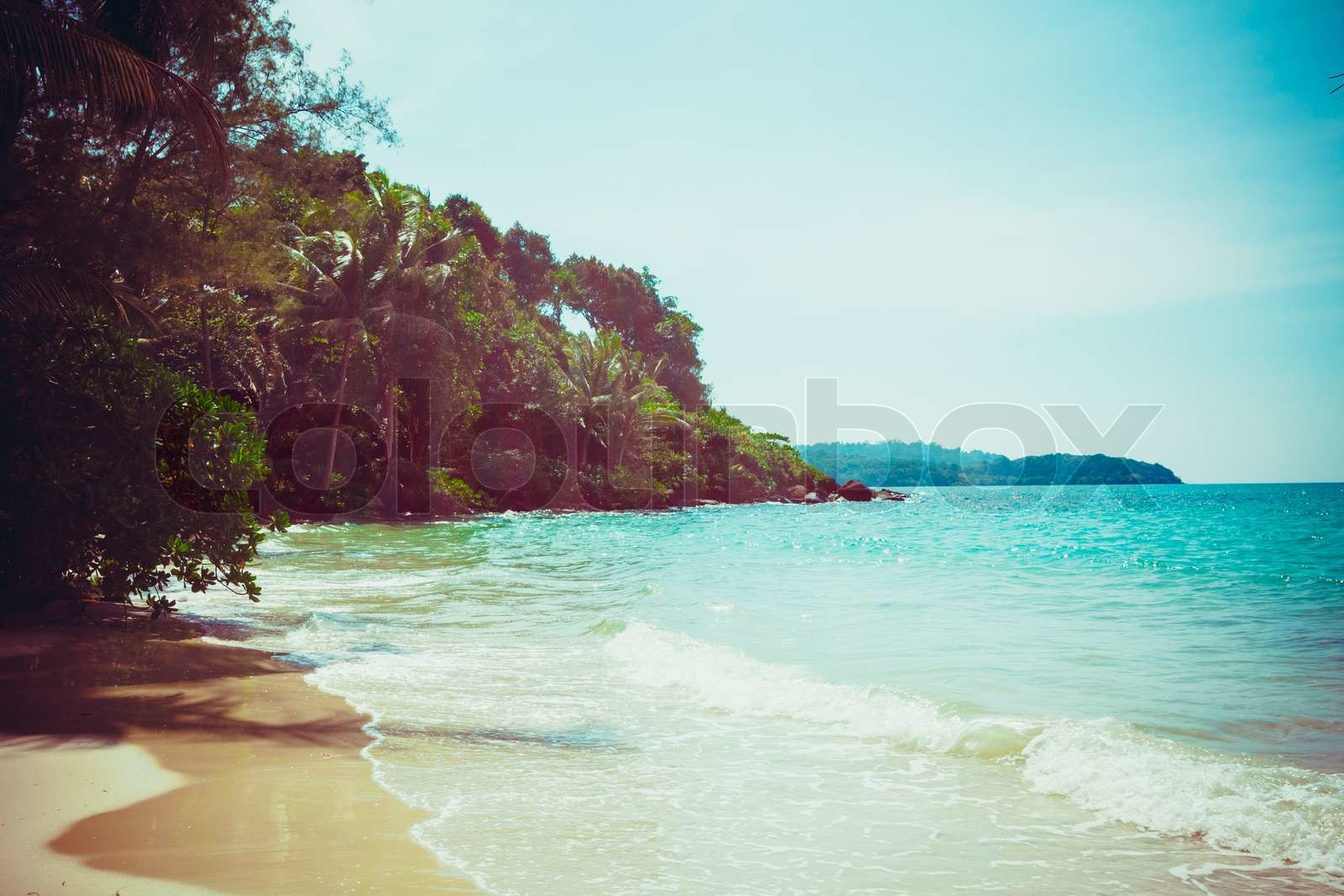 Tropischer Strand | Stock Bild | Colourbox