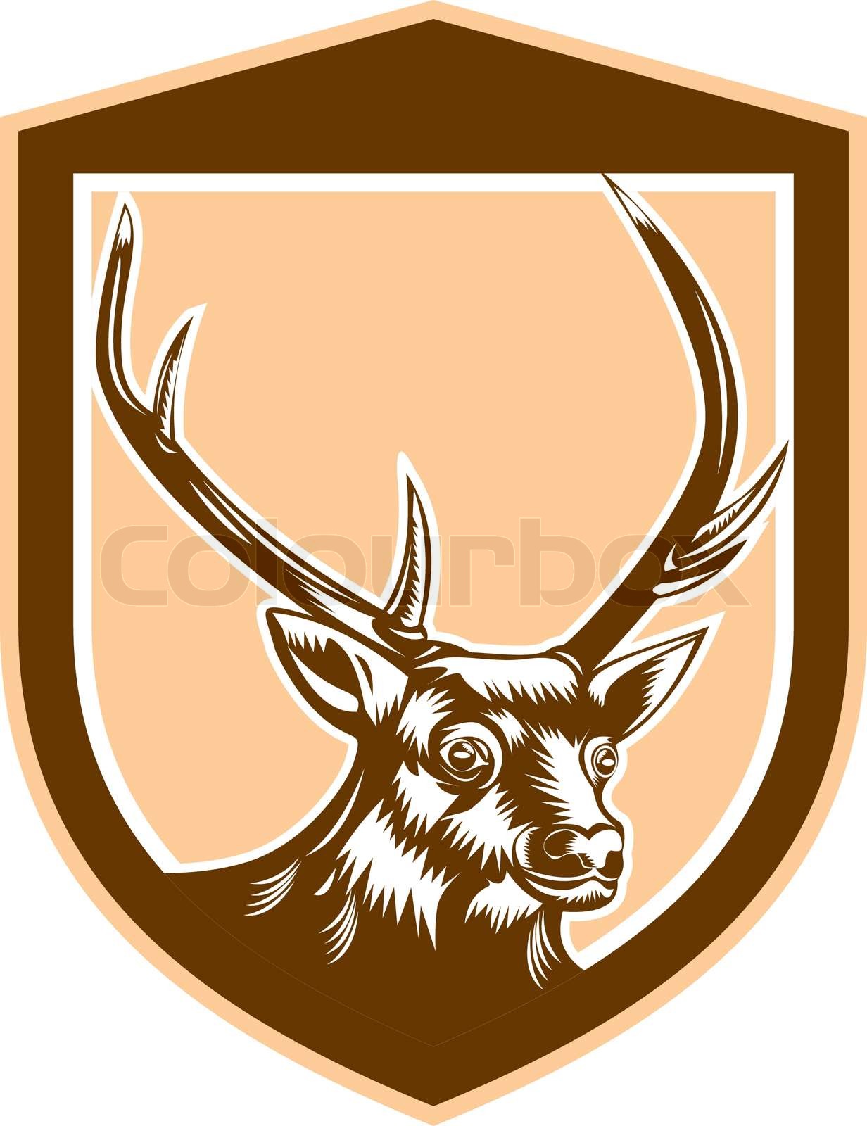 Deer Stag Buck Head Woodcut Shield | Stock vector | Colourbox