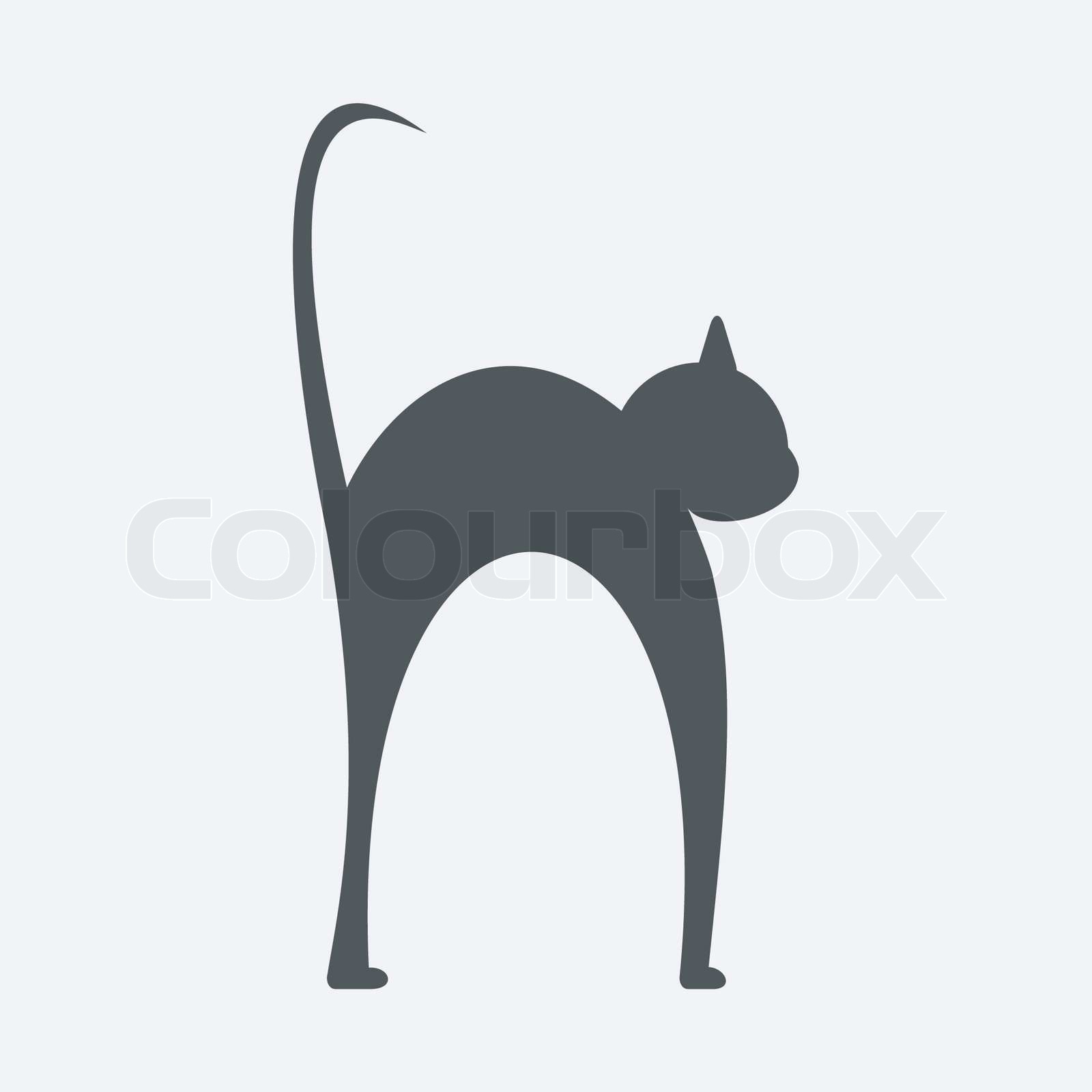 Katze Bedeutung Symbol