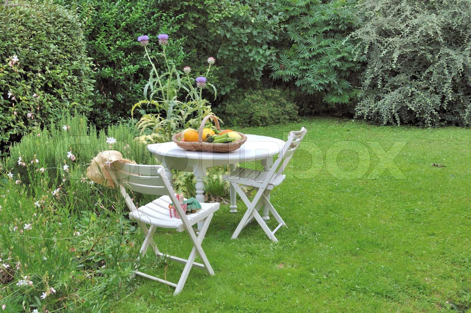 Land-Garten | Stock Bild | Colourbox