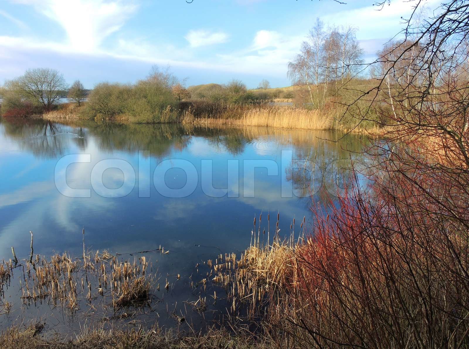 A beautiful lake scene. | Stock image | Colourbox