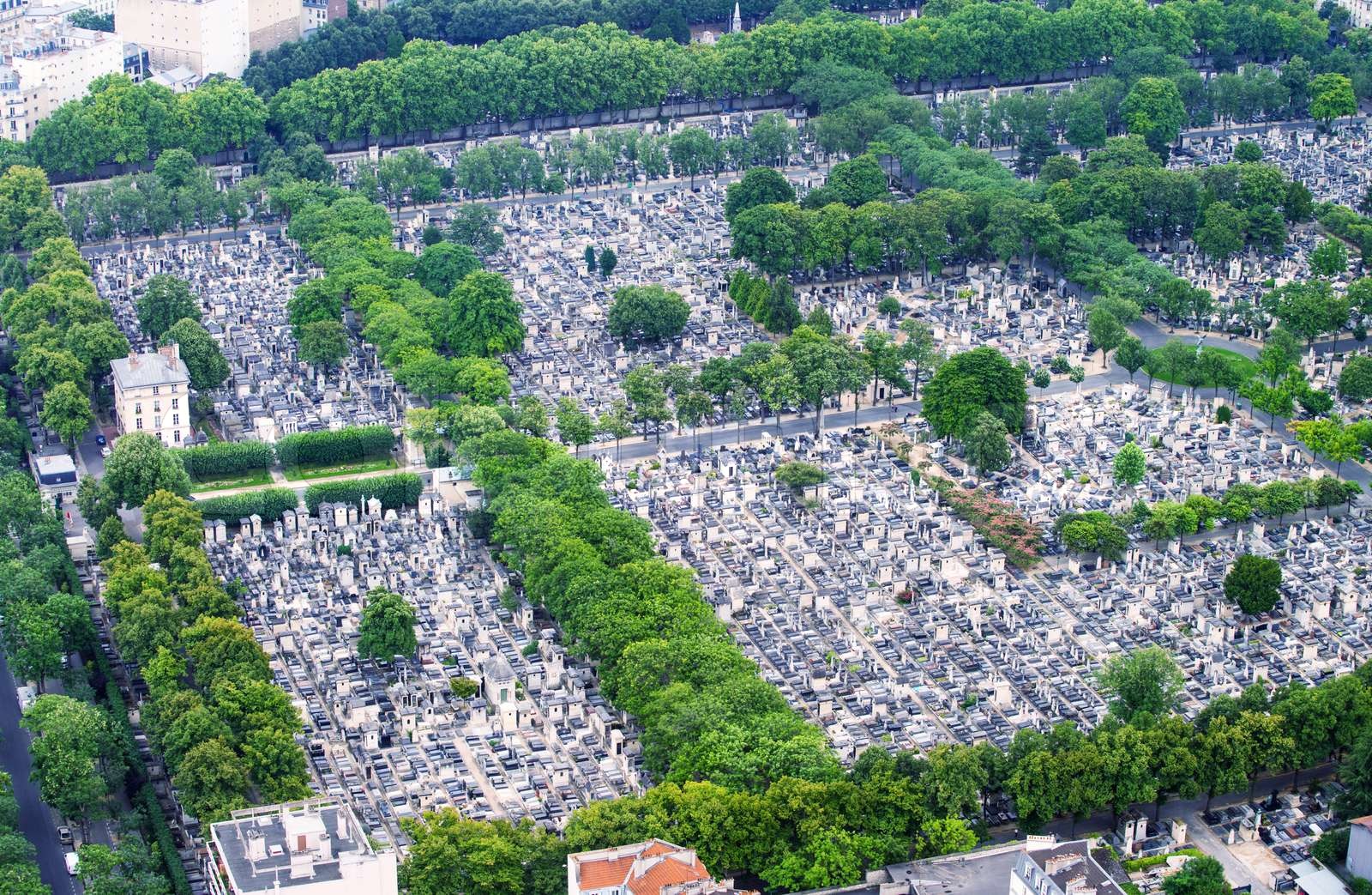 Aerial view of Cemetery | Stock image | Colourbox